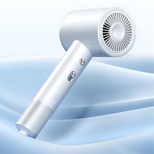 D1 High-speed Hair Dryer High-speed Blow Drying, Constant Temperature ...